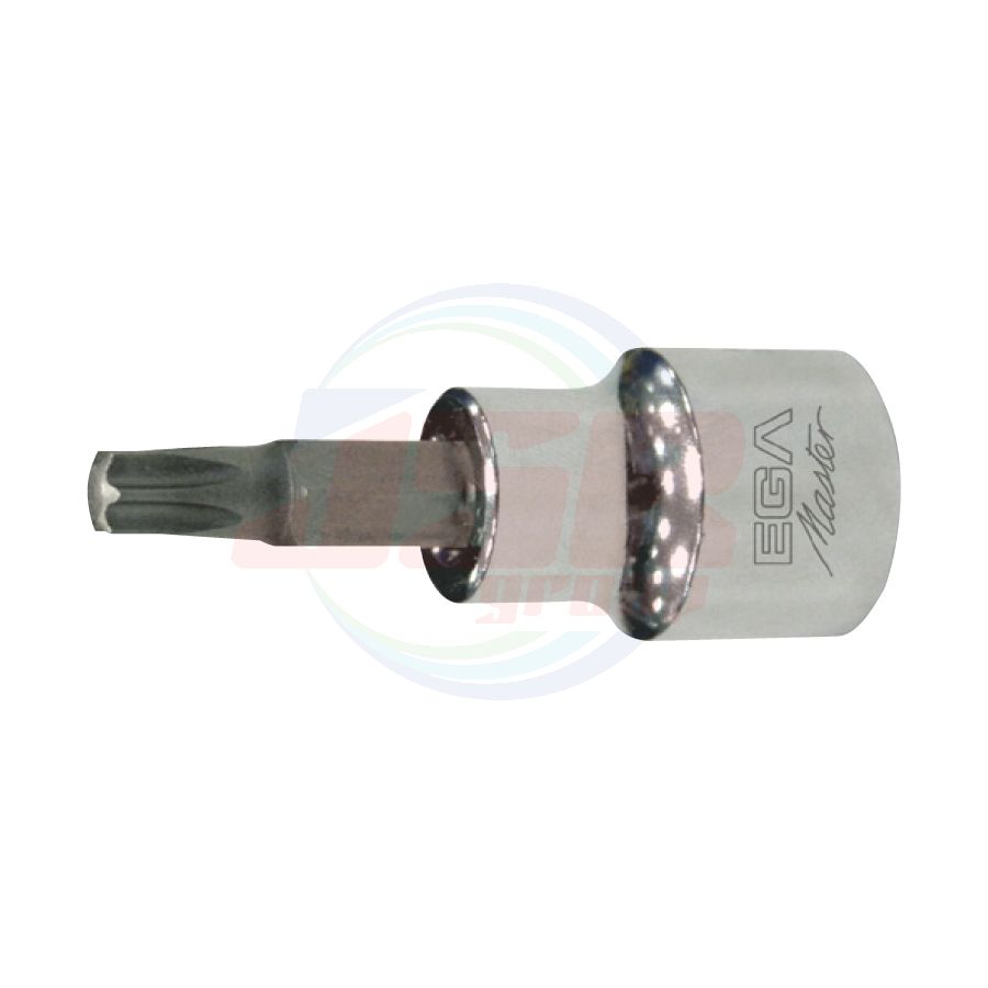 SOCKET BITS 1/4” TORX | EGA MASTER เครื่องมืออุตสาหกรรม เครื่องมือช่าง ...